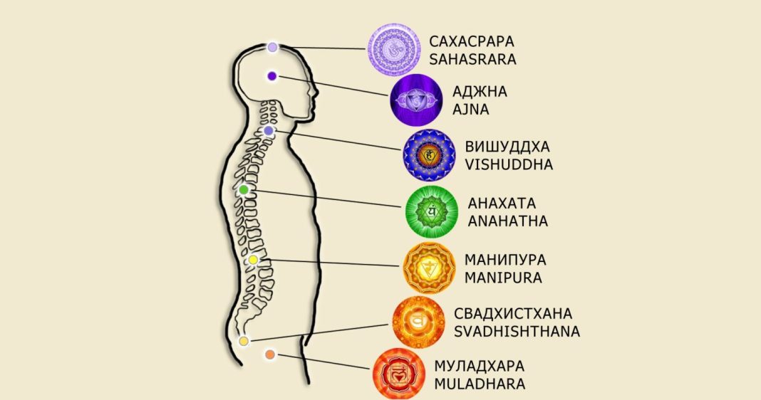 Муладхара чакра как активировать что дает и за что отвечает X Архив